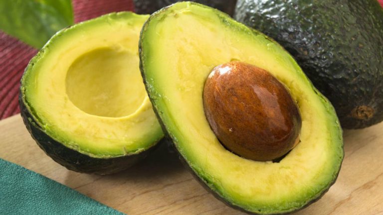 The avocado is now considered as a “gold mine of medicinal compounds”