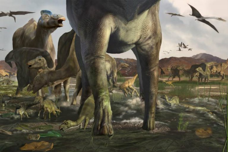 Vegetarian dinosaurs had a taste for certain animal protein, as ...