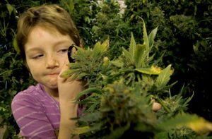 Doctors say this kid didn't die due to marijuana