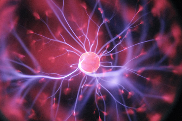 Are NCERT Science Class 9 Chapter 5 Really Effective 