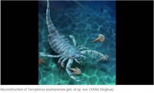 Monster-Sized Scorpion Fossil That Lived 443 Years Ago Found In ...